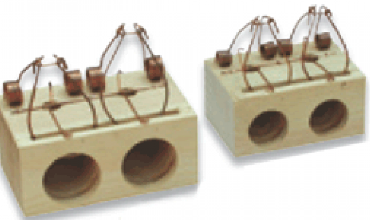 Ratoneras | Más Muelles Colombia